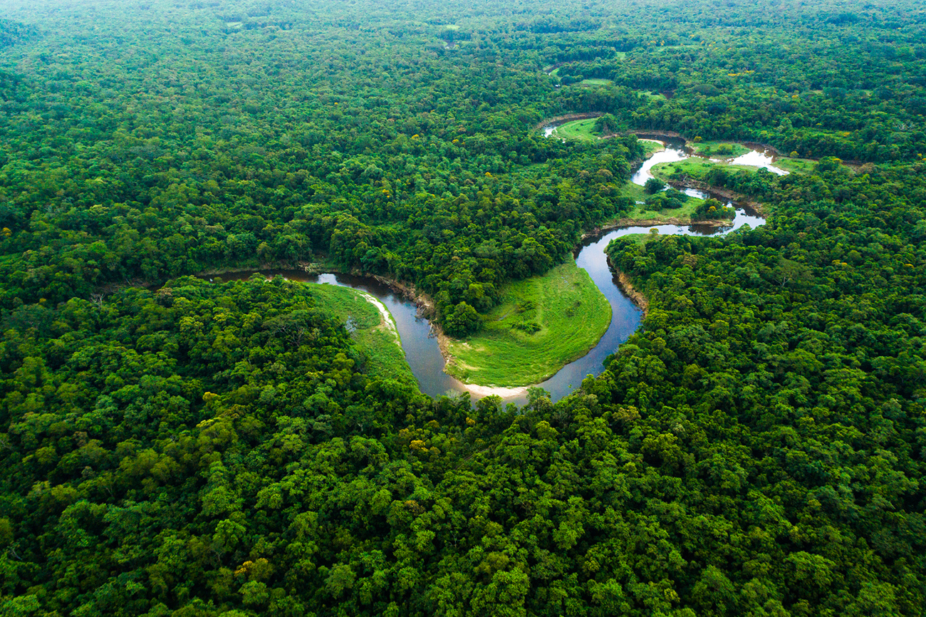The Amazon Rainforest - Gaia Amazonas